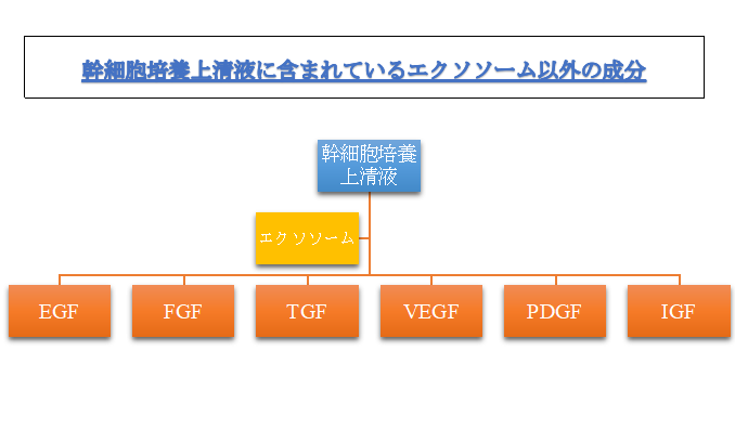 エクソソームと幹細胞培養上清液の違いは？それぞれのメリットもあわせて解説｜【公式】AZACLI(アザクリ)